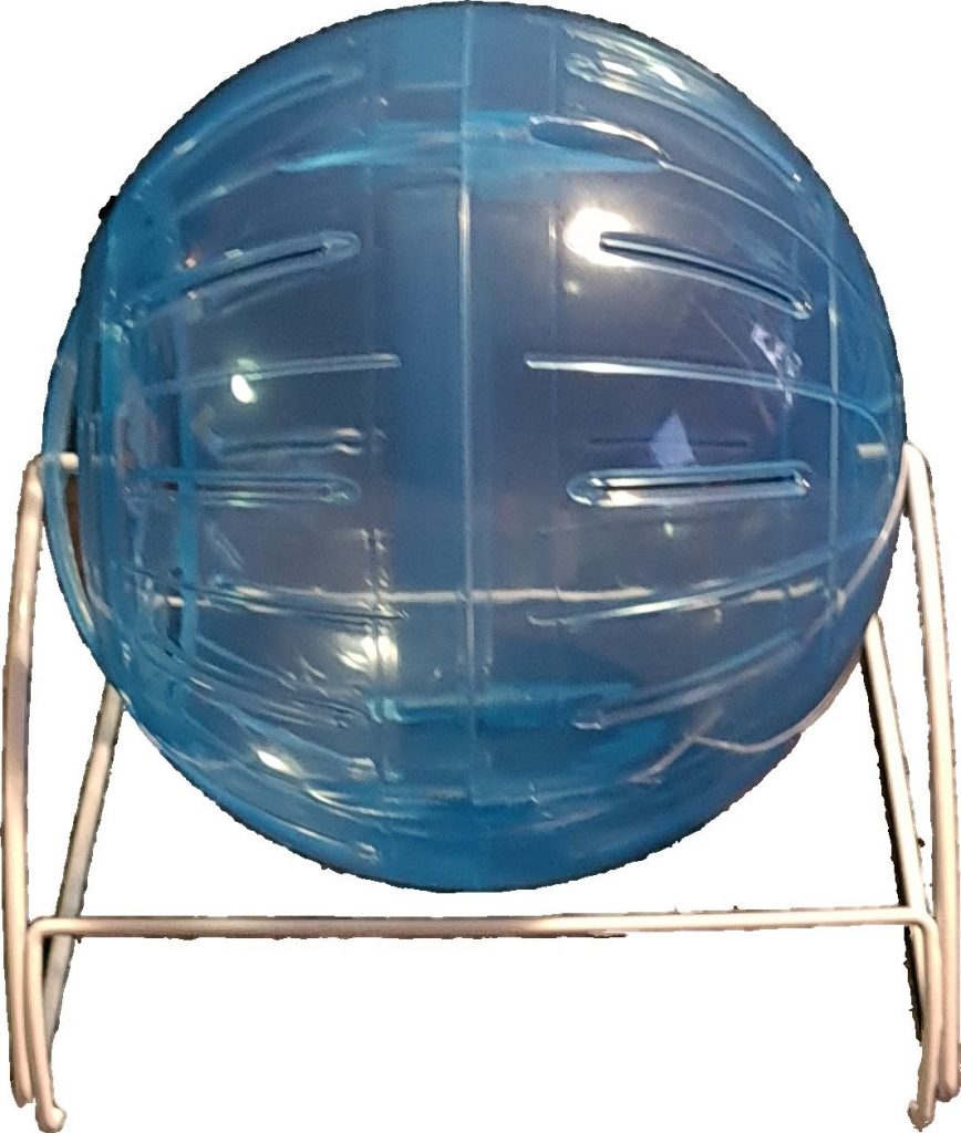 4 in 1 Hamster Fitness Ball – Shop Playpens