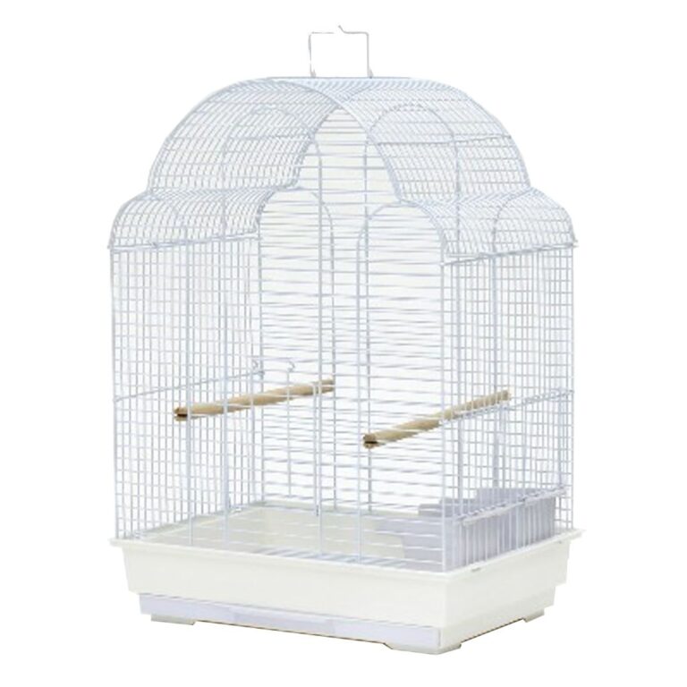 Parrot & Cockatiel Cages – Shop Playpens