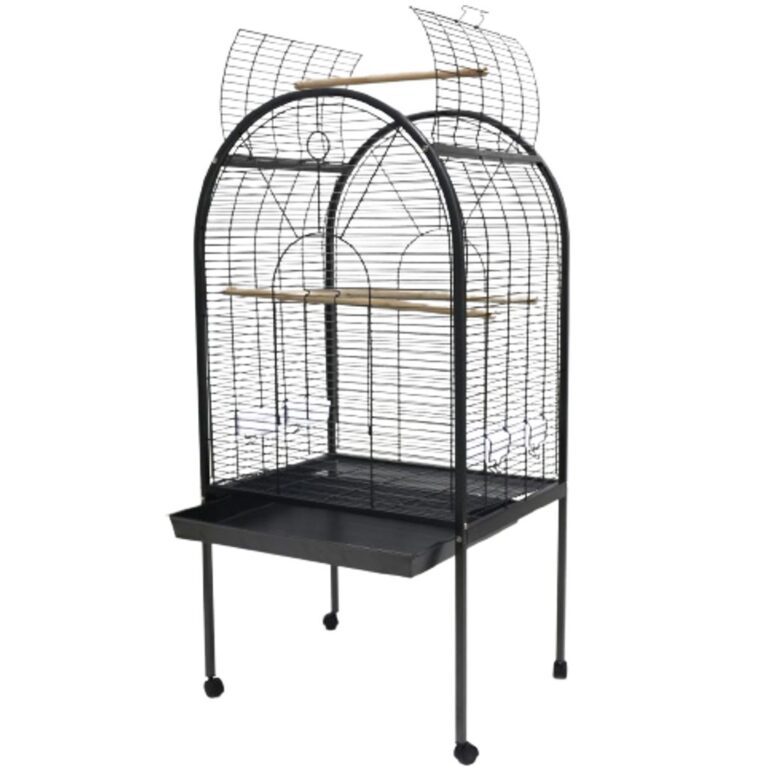 Large Parrot Play Round Top Cage (80 x 61 x 174cm) – Shop Playpens